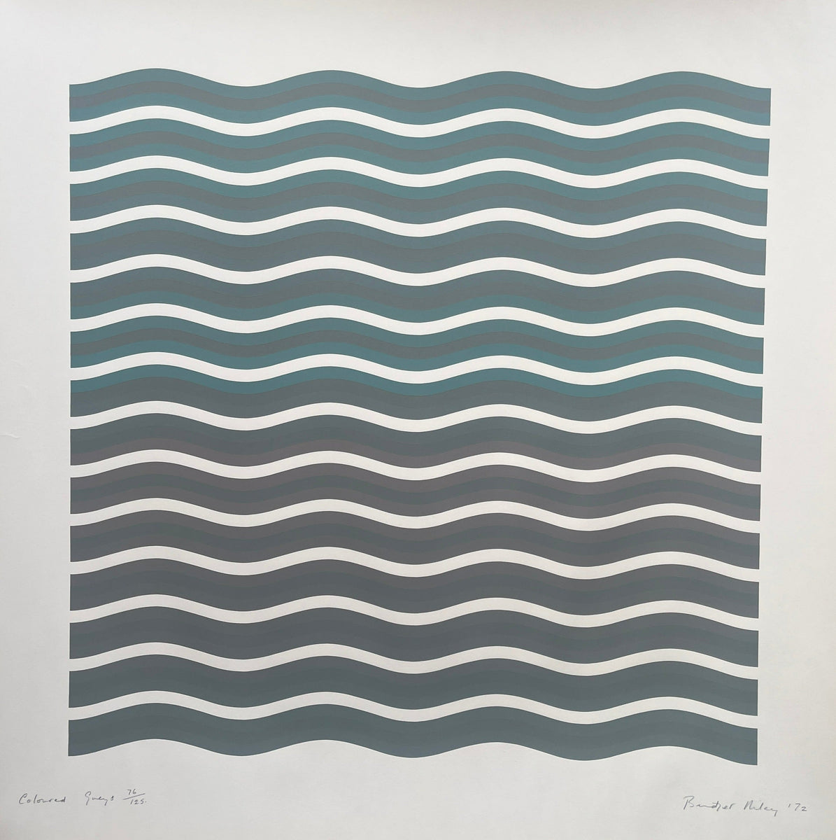 Bridget Riley - Coloured Greys II (Signed Screenprint) – Prescription Art