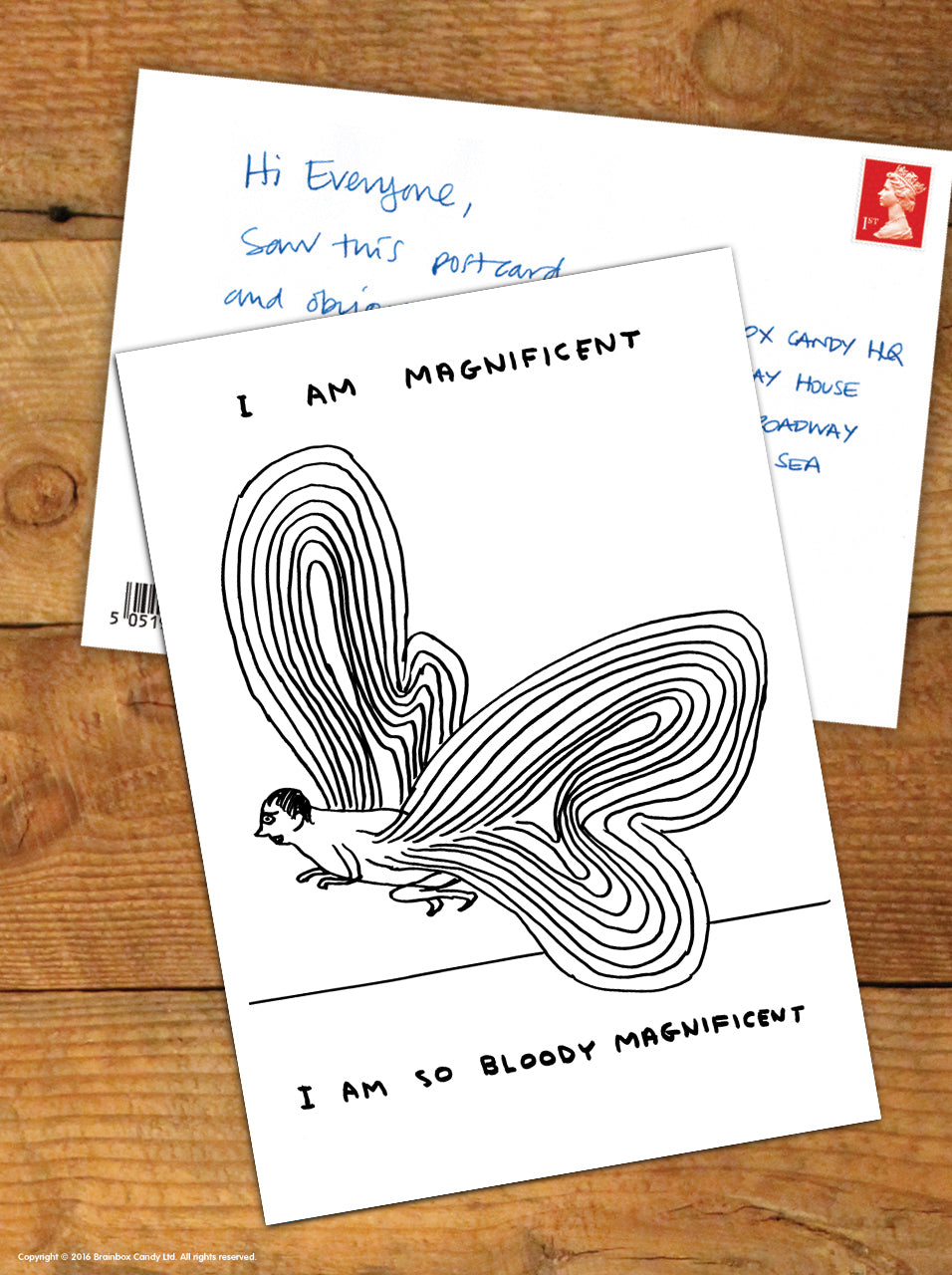 David Shrigley - Postcards (Many Different Designs!) – Prescription Art