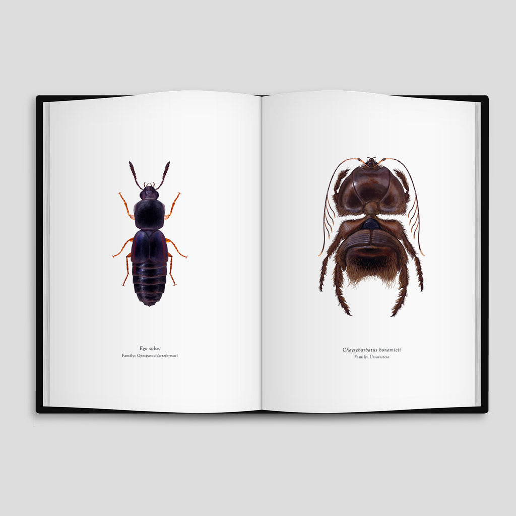 Richard Wilkinson - Arthropoda iconicus Volume I - Insects From A Fara ...